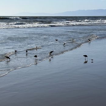 HOLLYWOOD BEACH - Updated October 2025 - 70 Photos & 23 Reviews ...