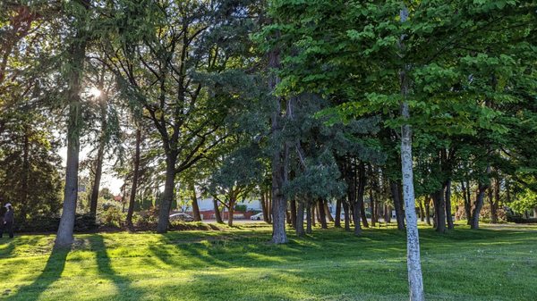 MINORU PARK - Updated July 2024 - 131 Photos & 25 Reviews - 7191 ...