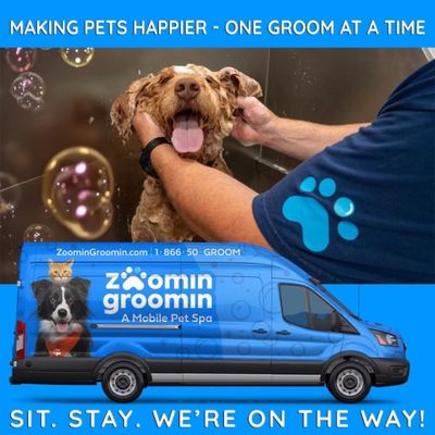 ZOOMIN GROOMIN - Updated December 2025 - 168 Photos & 71 Reviews ...