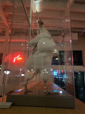 PLACE CARMIN - 69 Photos & 20 Reviews - 740 Rue William, Montréal ...