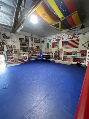 KING’S BOXING GYM - Updated May 2026 - 23 Photos & 40 Reviews - 843 ...