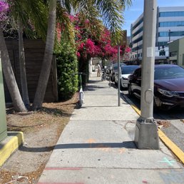 ELIXIR - Updated July 2025 - 109 Photos & 128 Reviews - 9 W Washington ...