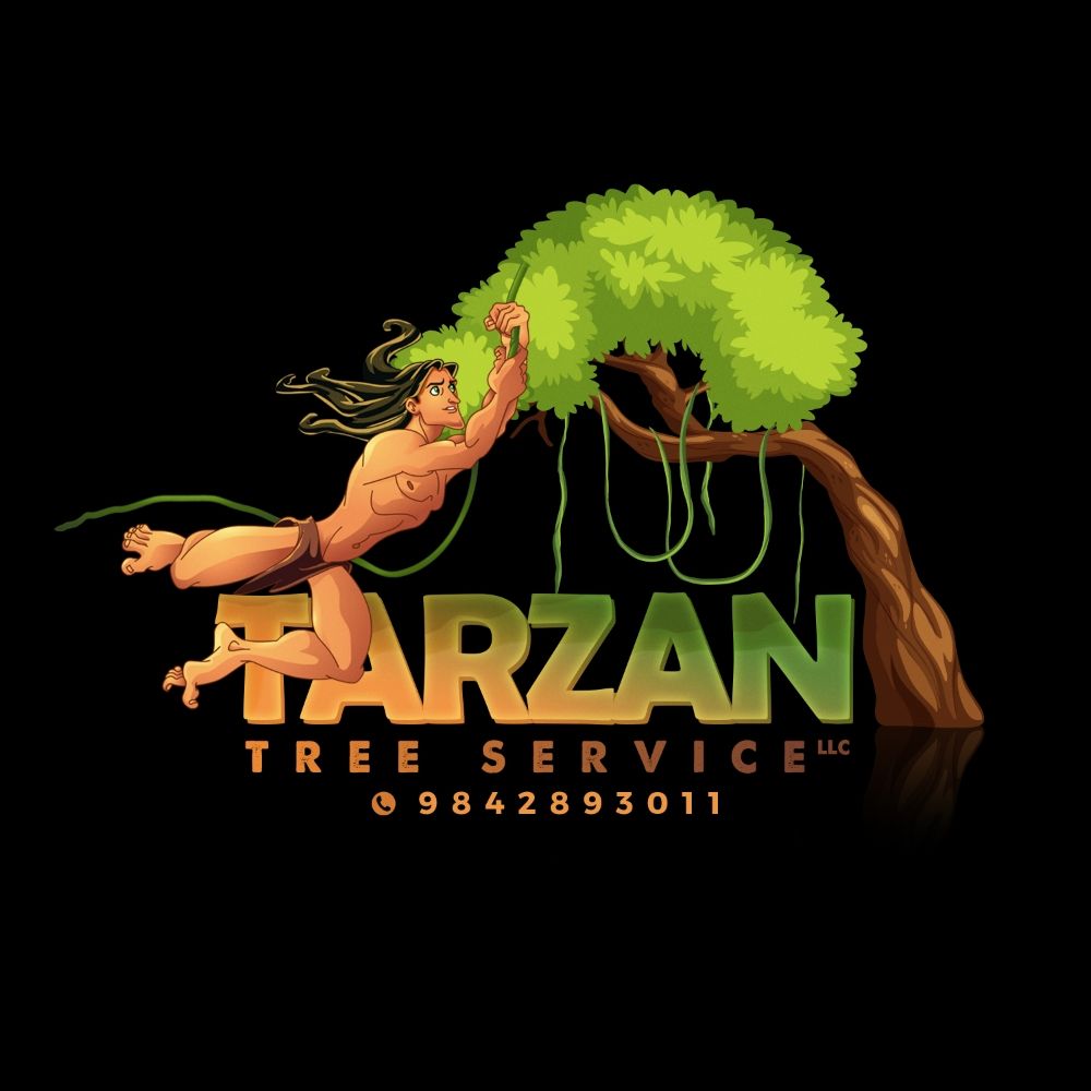 TARZAN TREE SERVICE - Updated December 2025 - 18 Photos - Raleigh ...