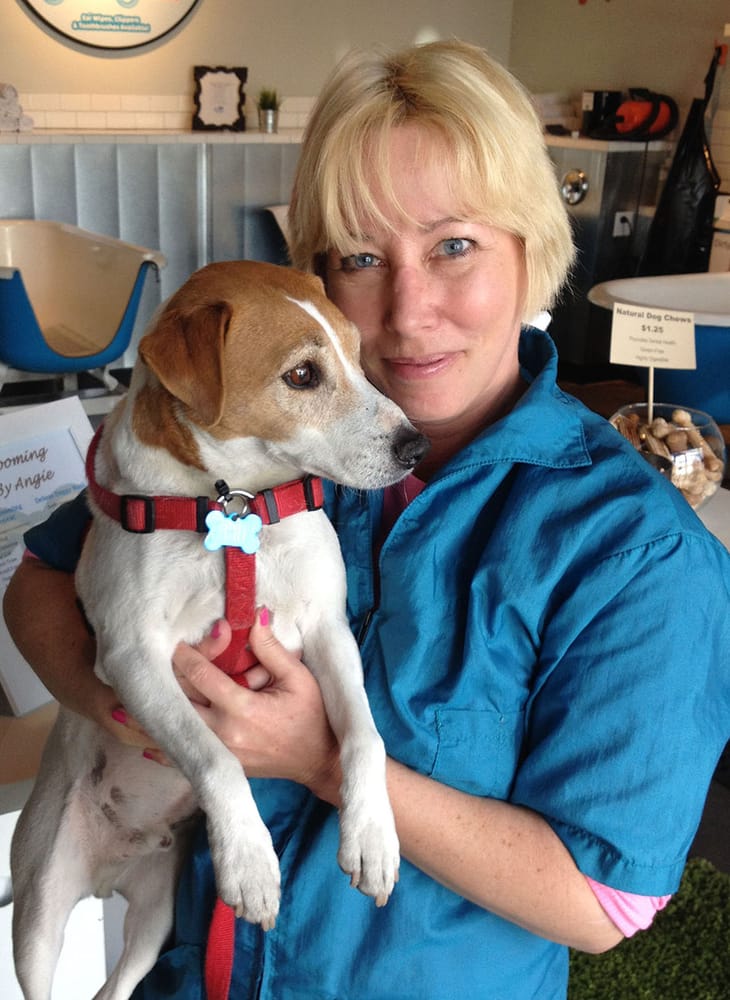 ANGIE’S DOG SPA - Updated July 2025 - 533 NW Hill St, Bend, Oregon ...