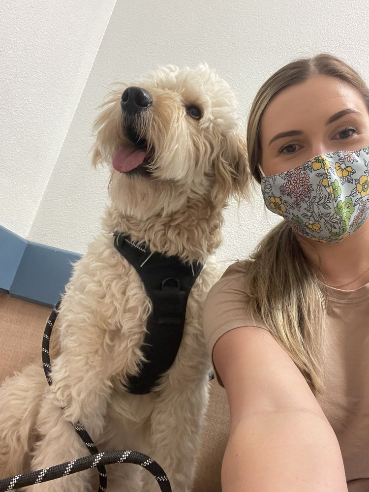 HILLSDALE ANIMAL HOSPITAL - 20 Photos & 75 Reviews - 5222 Hillsdale ...