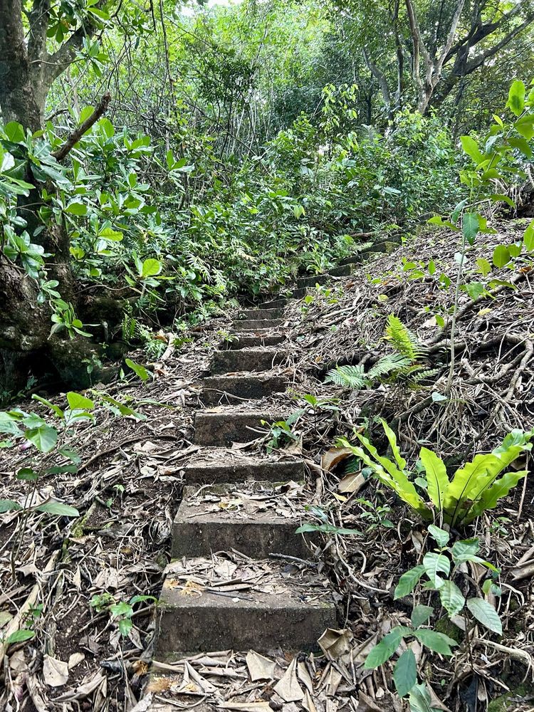 BLUNTS POINT TRAIL - Updated April 2026 - 18 Photos - Rt 1, Pago Pago ...