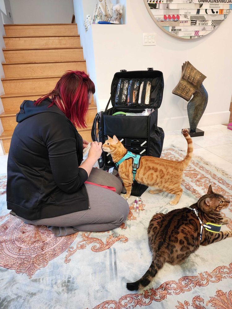 THE VETS - AT HOME PET CARE IN VEGAS - Updated September 2024 - 25 ...