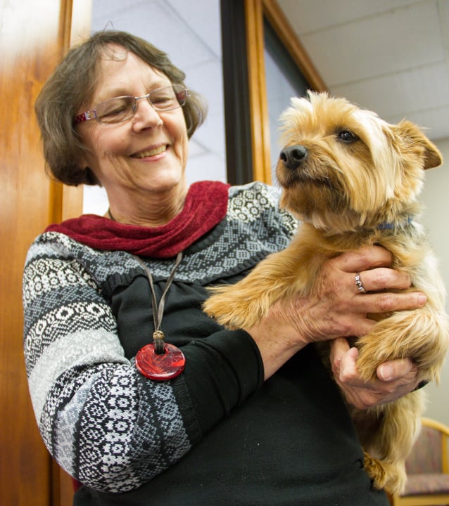 THE LAW OFFICES OF JULIA P. WALD - Updated December 2025 - San Rafael, California - Wills ...