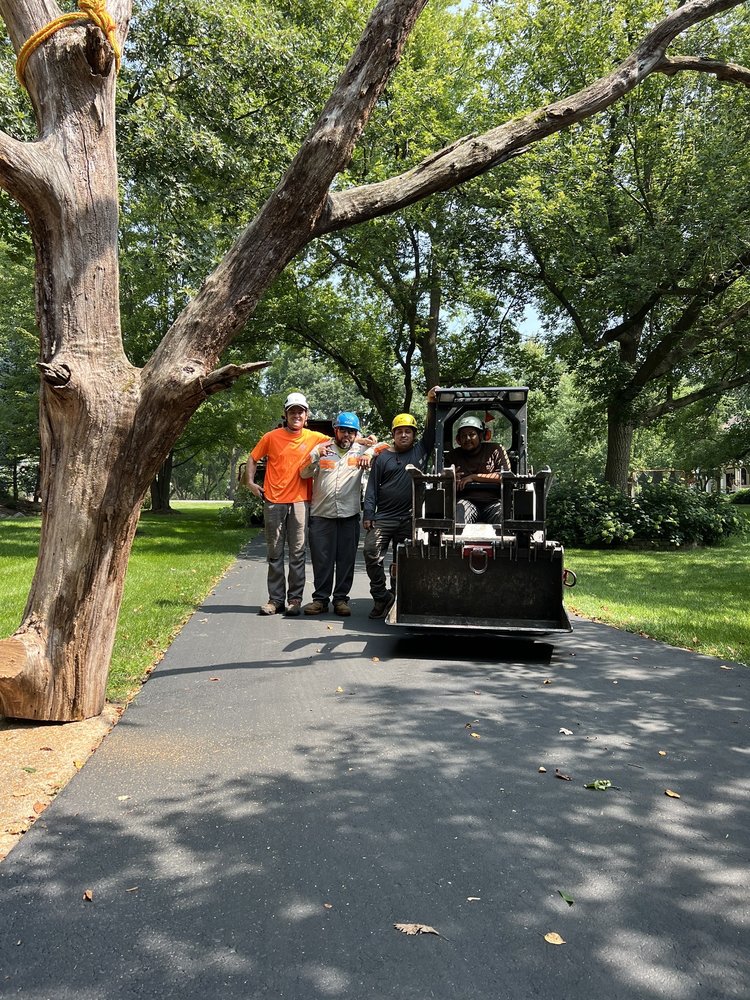 ABBOTT TREE CARE PROFESSIONALS - Updated October 2025 - 50 Photos & 19 ...