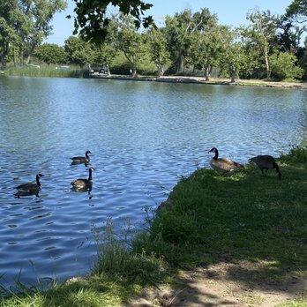 LODI LAKE - Updated November 2025 - 72 Photos & 18 Reviews - 1101 W ...