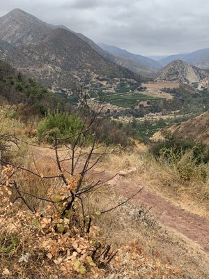 COZY DELL TRAIL - Updated October 2025 - 18 Photos - Cozy Dell Trl ...