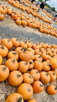 MERRYMEAD FARM - 164 Photos & 183 Reviews - 2222 S Valley Forge Rd ...