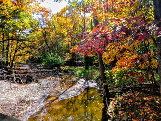 WEST CREEK RESERVATION - Updated October 2024 - 87 Photos & 18 Reviews ...