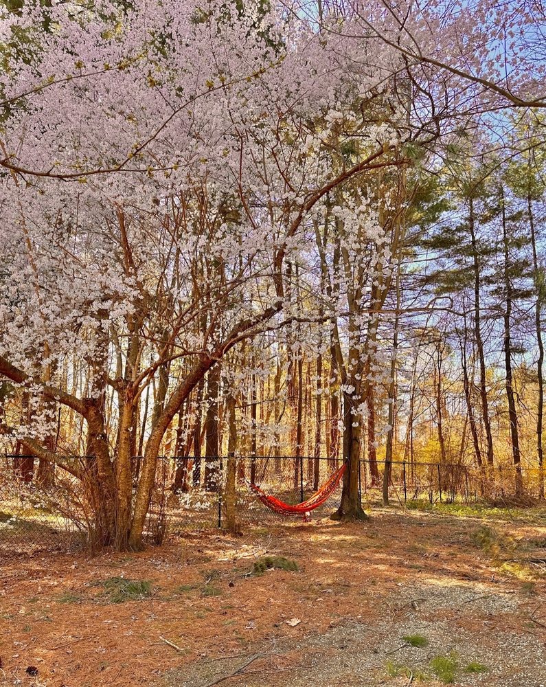 ANDOVER PEST CONTROL - Updated November 2025 - 28 Photos & 32 Reviews ...