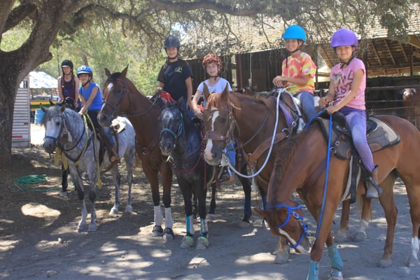 MARTIN PERFORMANCE HORSES - Updated March 2026 - 2 Empty Saddle Rd, Rolling Hills Estates ...