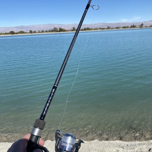 LAKE CAHUILLA COUNTY PARK - 103 Photos & 40 Reviews - 58075 Jefferson ...