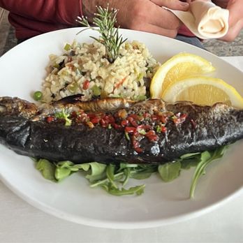 RED FOX AMORE - Updated July 2025 - 38 Photos & 33 Reviews - 222 ...