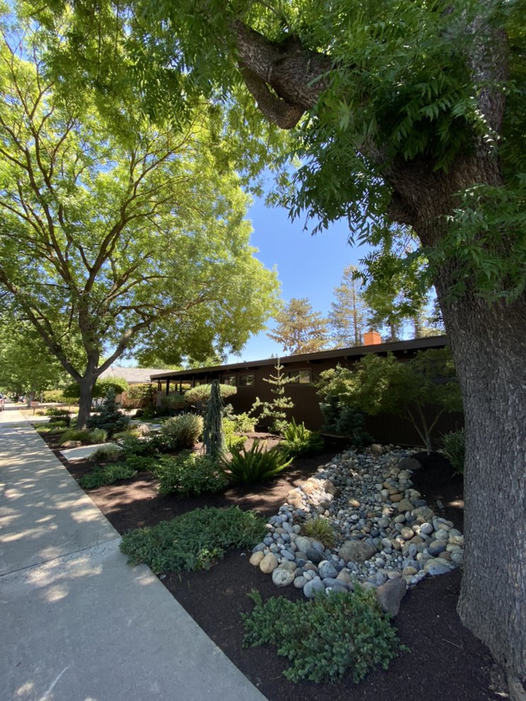 MEDINA’S LANDSCAPE - Updated April 2025 - 11 Photos - Merced ...