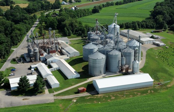 GERBER FEED SERVICE - Updated December 2025 - 3094 Moser Rd, Dalton ...