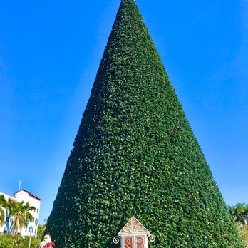 THE 100 FOOT CHRISTMAS TREE - Updated May 2026 - 103 Photos - 51 N ...