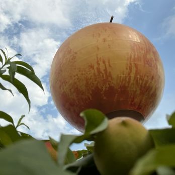 PEACHOID WATER TOWER - Updated December 2025 - 48 Photos & 41 Reviews ...