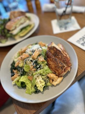 CAFE BERNARDO - Updated October 2024 - 335 Photos & 210 Reviews - 2730 ...