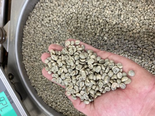 DUNCAN COFFEE COMPANY - Updated September 2025 - 35 Photos - 8944 ...