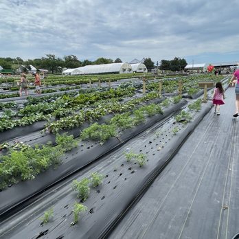 NELSON PRODUCE FARM - Updated December 2025 - 169 Photos & 27 Reviews ...