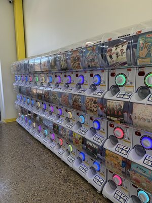 DUCK - Updated October 2025 - 57 Photos & 34 Reviews - 1004 Diffley Rd ...