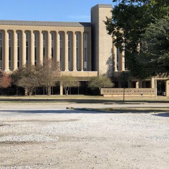 LOUISIANA STATE UNIVERSITY VETERINARY TEACHING HOSPITAL - Updated ...