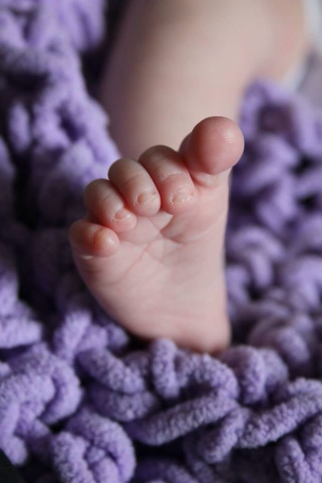 HAPPY DOGG PHOTOGRAPHY BY MANDA KAY - Updated June 2024 - North Adams ...