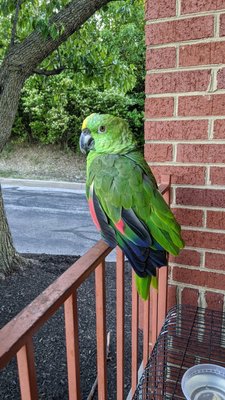 MILYA CAFE - Updated January 2026 - 180 Photos & 279 Reviews - 11033 ...