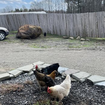 SIDEREAL FARM BREWERY - Updated October 2025 - 43 Photos & 17 Reviews ...