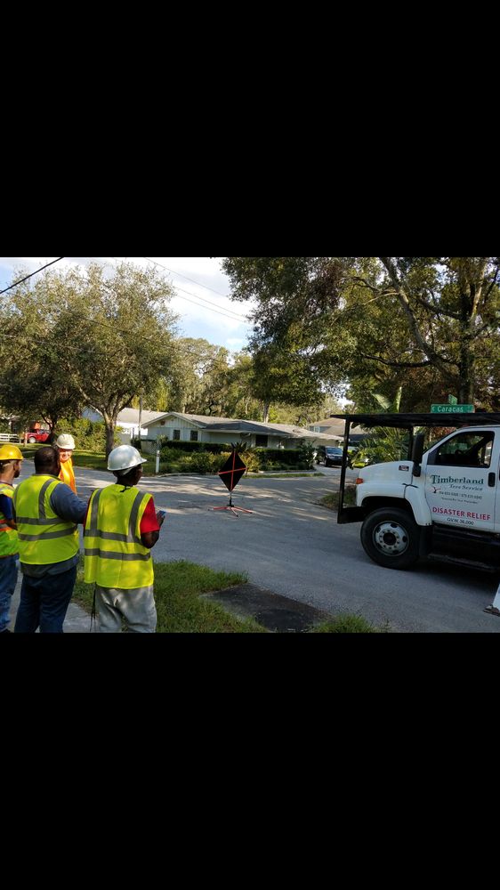 TIMBERLAND TREE SERVICE - Updated January 2025 - 10 Photos - 312 Mikel ...