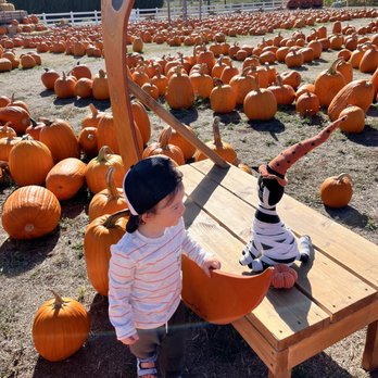 YESTERYEAR FARMS - Updated October 2025 - 205 Photos & 130 Reviews ...