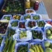 RIPLEY’S FIRST MONDAY TRADE DAY - 34 Photos - Antiques - 10590 Hwy 15 S ...