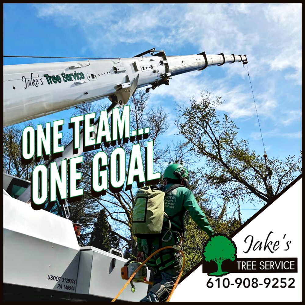 JAKE’S TREE SERVICE - Updated December 2025 - 33 Photos & 23 Reviews ...
