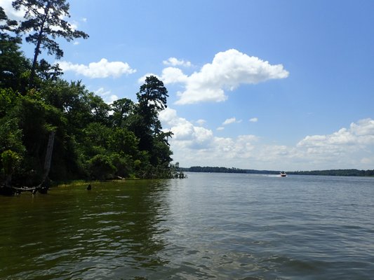 SCOTT’S RIDGE RECEATION AREA - SAM HOUSTON NATIONAL PARK - Updated ...