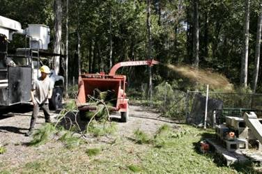 TREE MASTERS TREE SERVICE - Updated July 2025 - 12933 Lussier Ln ...