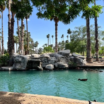 ENCANTO PARK - Updated May 2025 - 285 Photos & 85 Reviews - 2605 N 15th ...