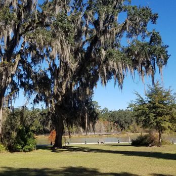 PEDRICK POND PARK - Updated December 2025 - 59 Photos - 1583 Pedrick Rd ...