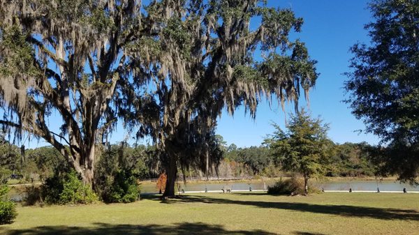 PEDRICK POND PARK - 55 Photos - 1583 Pedrick Rd, Tallahassee, Florida ...