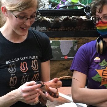 SNAKE DISCOVERY - Updated December 2025 - 34 Photos - Hudson, Wisconsin ...