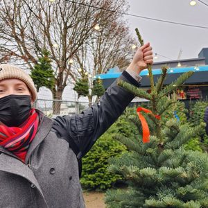 HUNTER CHRISTMAS TREES - Updated December 2025 - 31 Photos & 33 Reviews ...