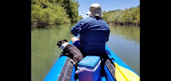 SOAR INFLATABLES & RUSSIAN RIVER ADVENTURES - 134 Photos & 230 Reviews ...