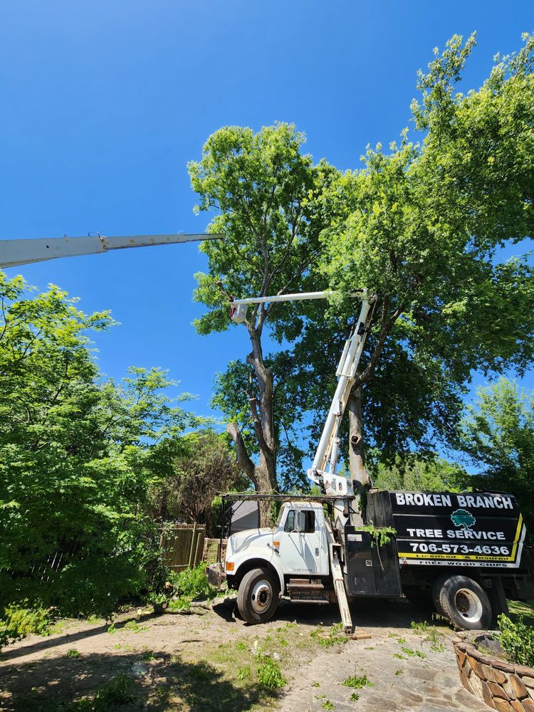BROKEN BRANCH TREE SERVICE - Updated September 2025 - 5769 Lee County ...