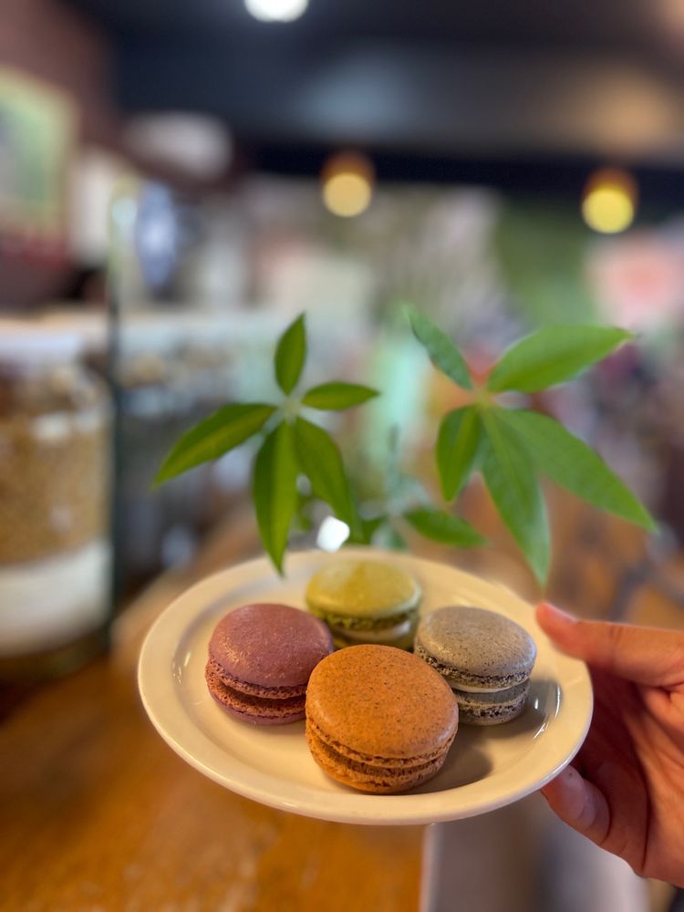 CAFE GUDCHA - Updated November 2024 - 106 Photos & 24 Reviews - 518 ...