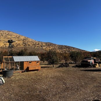 BLOOM RANCH OF ACTON - Updated April 2025 - 119 Photos & 48 Reviews ...