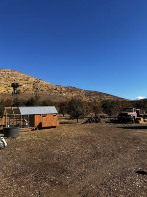 BLOOM RANCH OF ACTON - Updated May 2025 - 156 Photos & 61 Reviews ...