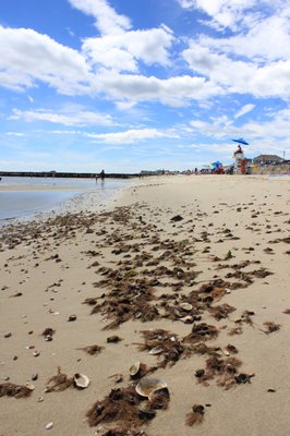 WESTBROOK TOWN BEACH - Updated August 2025 - 13 Photos - Seaside Ave ...